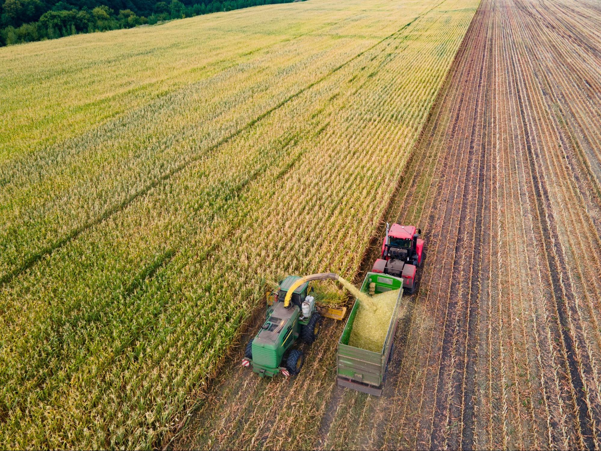 Agricultural - PRO DIAGNOSTICS